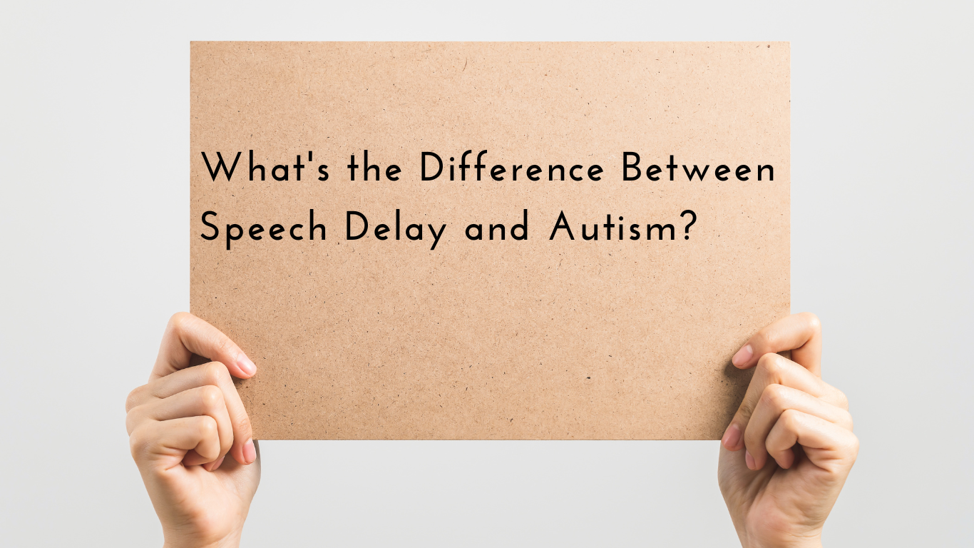What S The Difference Between Speech Delay And Autism We R Special