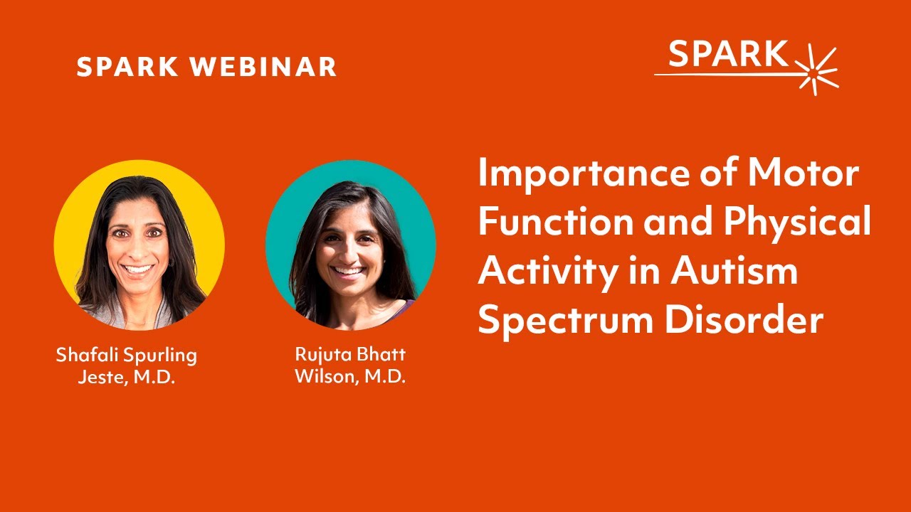The Importance Of Motor Function And Physical Activity In Autism ...