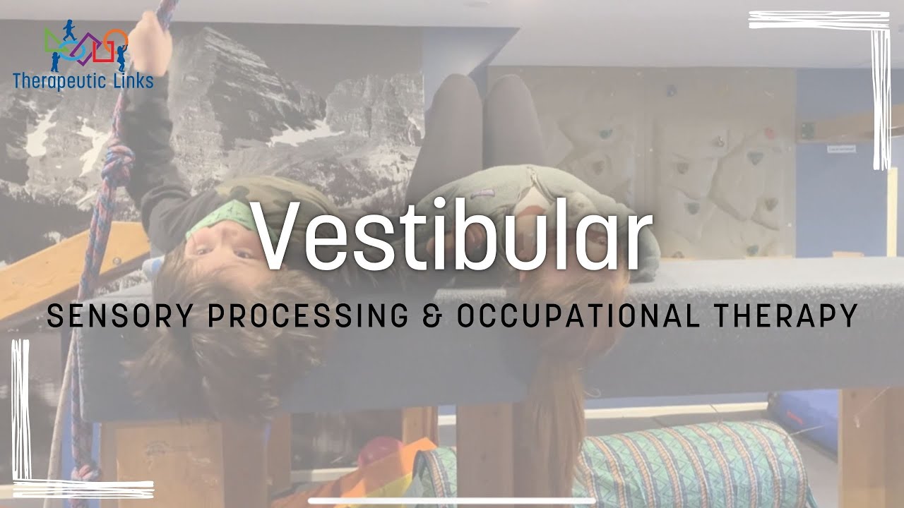 The Vestibular System: Sensory Processing In Children - We R Special